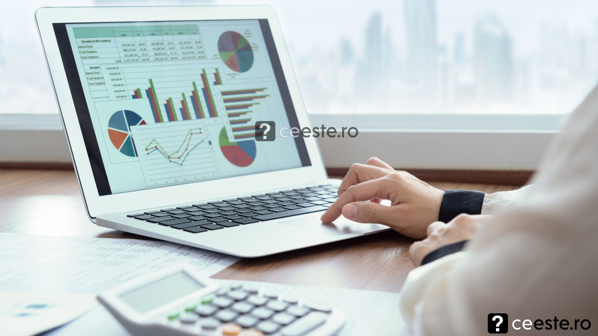 Ce este Revisal si ce evidenta tine - ceeste.ro